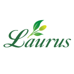 LT-Projects - Lebtech Berhad